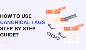 How to Use Canonical tags Step-by-Step Guide?